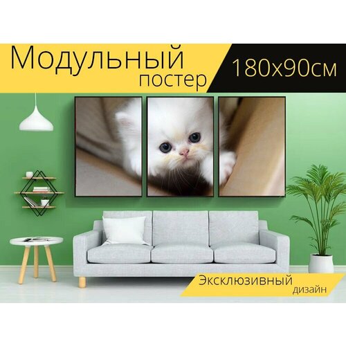 Модульный постер "Котенок, киска, кот" 180 x 90 см. для интерьера