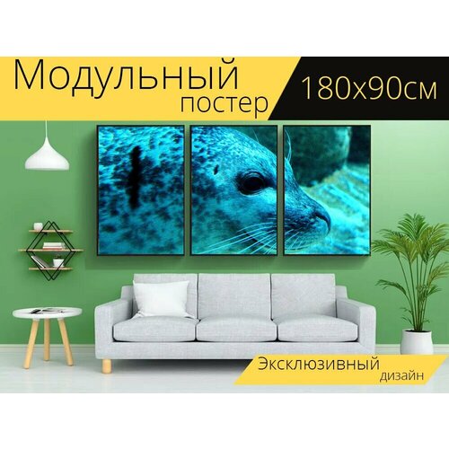 Модульный постер "Тюлень, подводный, синий" 180 x 90 см. для интерьера