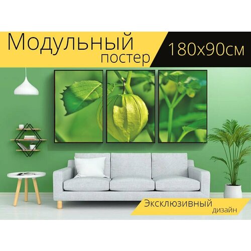 Модульный постер "Мочевой пузырь вишня, цветок, лампион цветок" 180 x 90 см. для интерьера