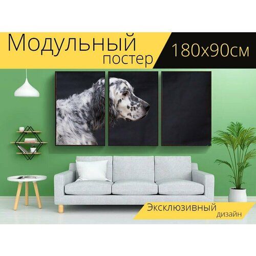 Модульный постер "Английский сеттер, собака, домашний питомец" 180 x 90 см. для интерьера