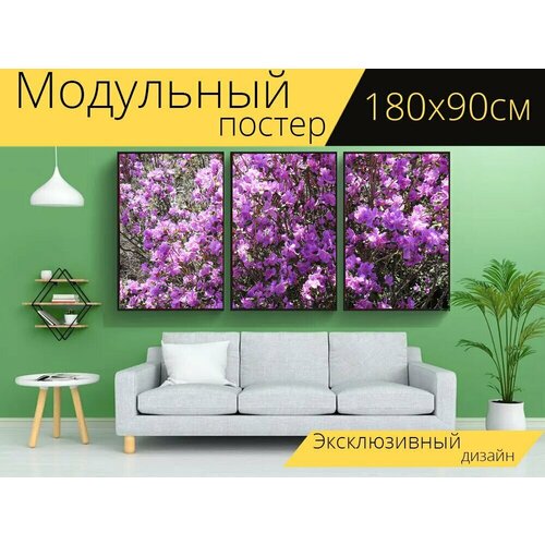 Модульный постер "Алтай, весна, багульник" 180 x 90 см. для интерьера