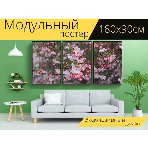Модульный постер "Вишневые деревья, цветы, япония" 180 x 90 см. для интерьера