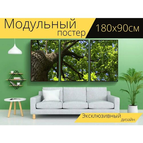 Модульный постер "Зеленый, верхушка дерева, природа" 180 x 90 см. для интерьера