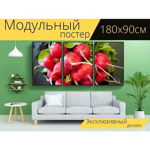 Модульный постер "Редис, овощи, уборка урожая" 180 x 90 см. для интерьера