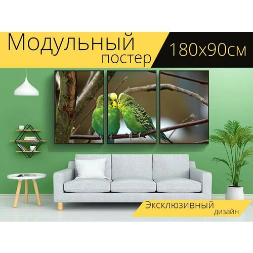 Модульный постер "Волнистые попугаи, мало, зеленые птицы" 180 x 90 см. для интерьера