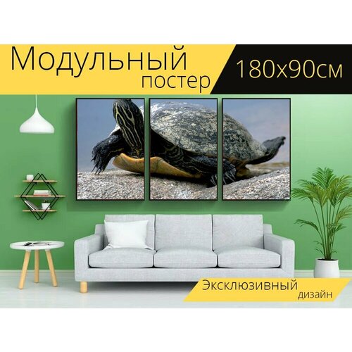 Модульный постер "Воды черепаха, рептилии, природа" 180 x 90 см. для интерьера