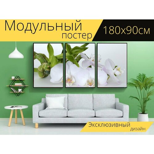 Модульный постер "Орхидея, орхидея цветок, бамбук" 180 x 90 см. для интерьера