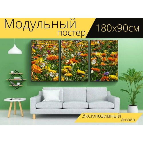 Модульный постер "Цветочный луг, цветок, поле цветов" 180 x 90 см. для интерьера
