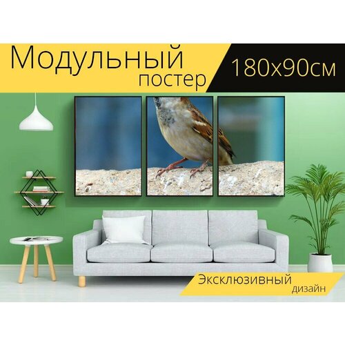 Модульный постер "Общий воробей, воробей, птица" 180 x 90 см. для интерьера