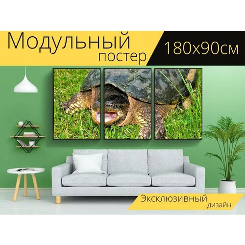 Модульный постер "Черепаха, каймановая черепаха, открытый рот" 180 x 90 см. для интерьера