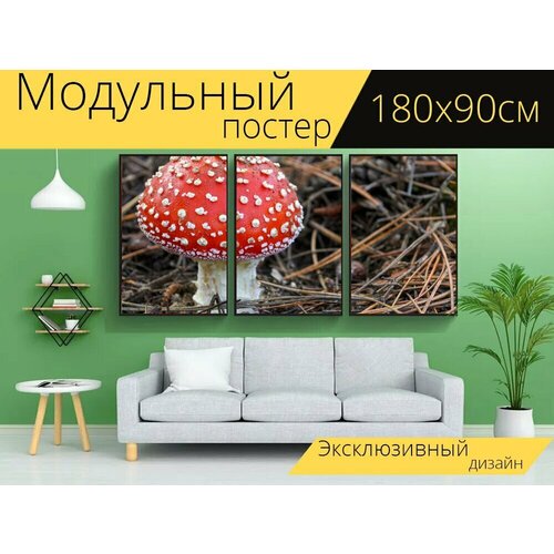 Модульный постер "Мухомор, мухомор красный, гриб" 180 x 90 см. для интерьера