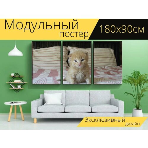 Модульный постер "Котенок, милый, кошка" 180 x 90 см. для интерьера