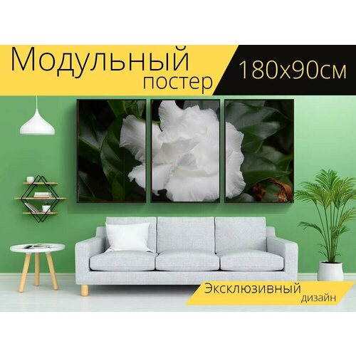 Модульный постер "Гардения, цветок, белый" 180 x 90 см. для интерьера