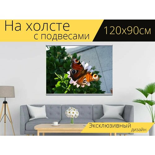 Картина на холсте "Павлиний глаз, бабочка, насекомое" с подвесами 120х90 см. для интерьера