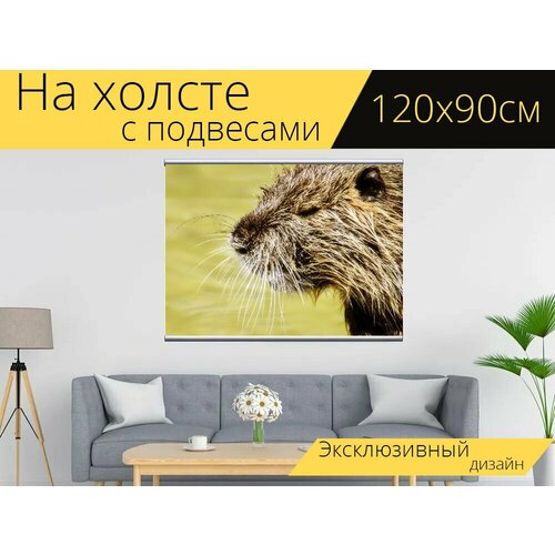 Картина на холсте "Бобровая крыса, нутрия, водяная крыса" с подвесами 120х90 см. для интерьера