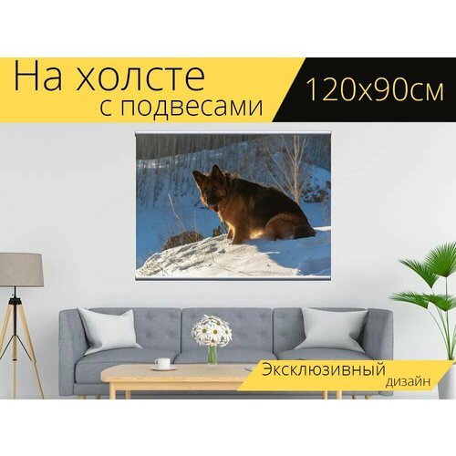 Картина на холсте "Немецкая овчарка, собака, овчарка" с подвесами 120х90 см. для интерьера