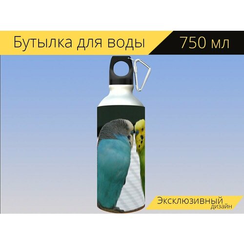Бутылка фляга для воды "Попугаев, птицы, пара" 750 мл. с карабином и принтом
