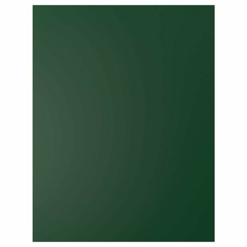 Накладная панель, темно-зеленый 62×80 СМ IKEA BODBYN будбин 804.446.25