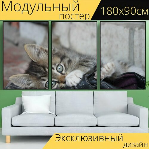 Модульный постер "Игривый кот, серый кот, ушастый кот" 180 x 90 см. для интерьера