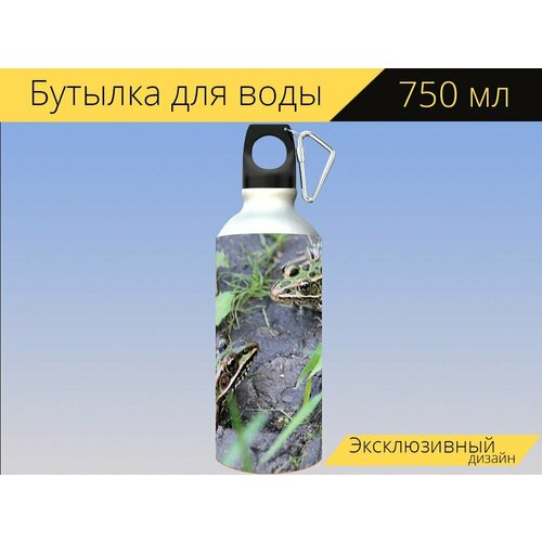 Бутылка фляга для воды "Лягушка, жаба, лягушки" 750 мл. с карабином и принтом