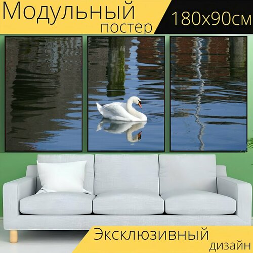 Модульный постер "Лебедь, порт, вода" 180 x 90 см. для интерьера