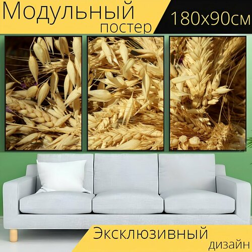 Модульный постер "Зерновой, колосья, сельское хозяйство" 180 x 90 см. для интерьера