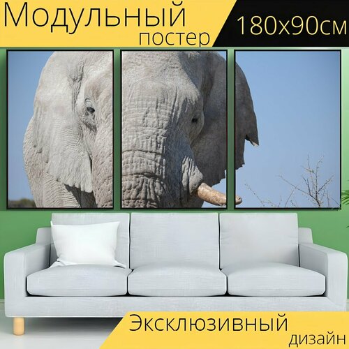 Модульный постер "Слон, пустыня, животное" 180 x 90 см. для интерьера