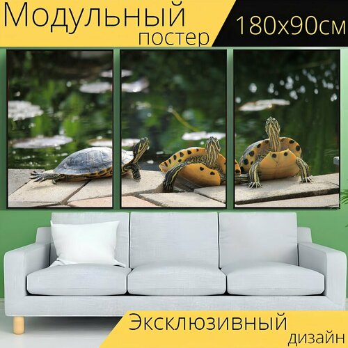 Модульный постер "Черепахи, пруд, солнечные ванны" 180 x 90 см. для интерьера