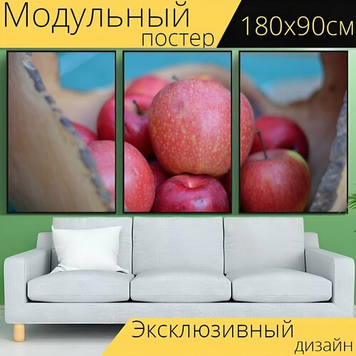 Модульный постер "Яблоки, еда, фрукты" 180 x 90 см. для интерьера