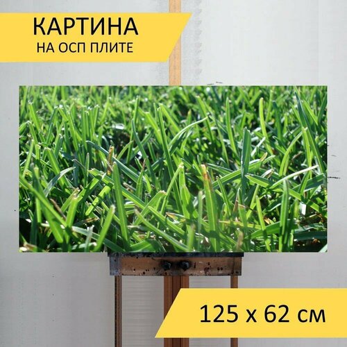 Картина на ОСП 125х62 см. "Лужайка, трава, дерн" горизонтальная, для интерьера, с креплениями