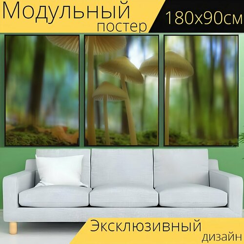 Модульный постер "Гриб, лес, мох" 180 x 90 см. для интерьера