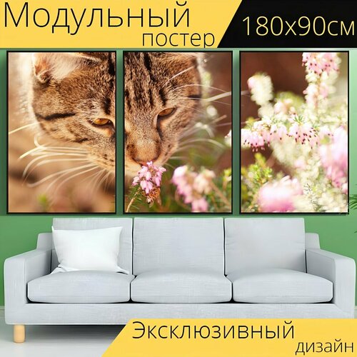 Модульный постер "Кот, скумбрия, природа" 180 x 90 см. для интерьера