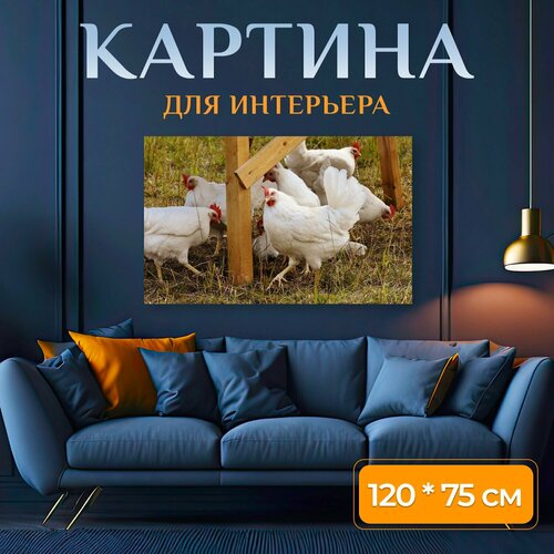 Картина на холсте "Счастливые цыплята, на открытом воздухе, домашняя птица" на подрамнике 120х75 см. для интерьера
