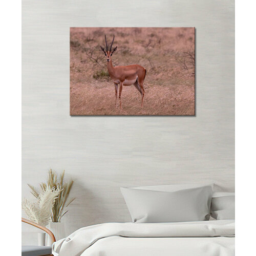 Картина - Газель, животное газель, газель парнокопытное (10) 30х40