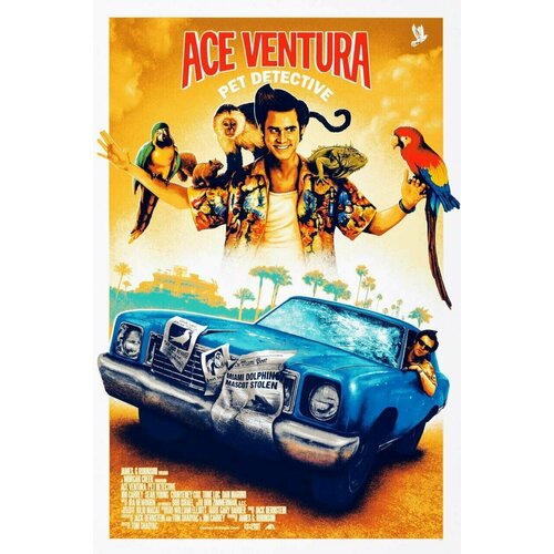 Плакат, постер на бумаге Эйс Вентура: Розыск домашних животных (Ace Ventura: Pet Detective, 1994г). Размер 21 х 30 см