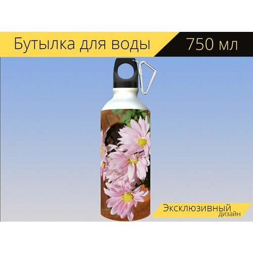 Бутылка фляга для воды "Хризантема, цветок, розовый" 750 мл. с карабином и принтом