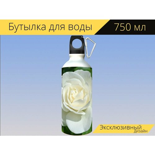 Бутылка фляга для воды "Роза, белый, цвести" 750 мл. с карабином и принтом