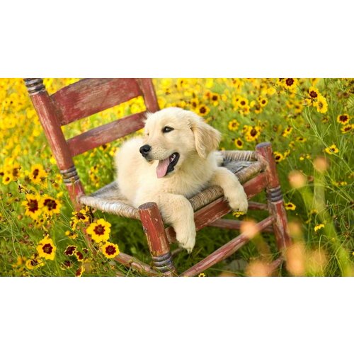 Картина на холсте 60x110 LinxOne "Собака на стуле подсолнухи" интерьерная для дома / на стену / на кухню / с подрамником