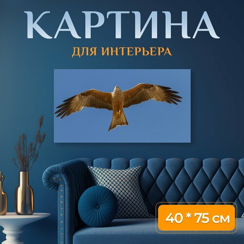 Картина на холсте "Испания, уэльва, доньяна" на подрамнике 75х40 см. для интерьера
