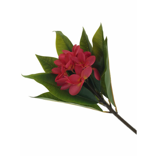 Искусственный цветок Плюмерия 35 см
