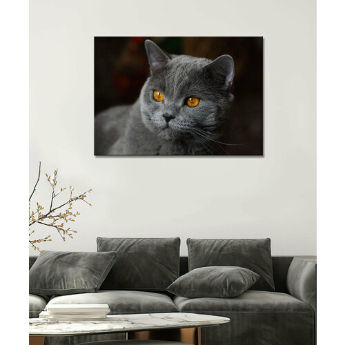 Картина - кошка, британская короткошёрстная кошка, домашняя кошка, ласковая кошка, кот (217) 20х30