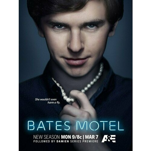 Плакат, постер на бумаге Мотель Бейтсов (Bates Motel), Такер Гейтс, Эдвард Бьянчи, Тим Соутэм. Размер 42 х 60 см