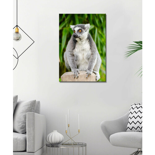 Картина - Лемур, лемурчик, глаза лемура, мадагаскарский лемур (5) 50х70
