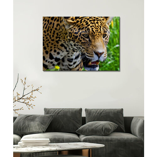 Картина/Ягур/Ягуар в джунглях/Ягуар на дереве/Черный ягуар/ - Ягуар (49) 40х60