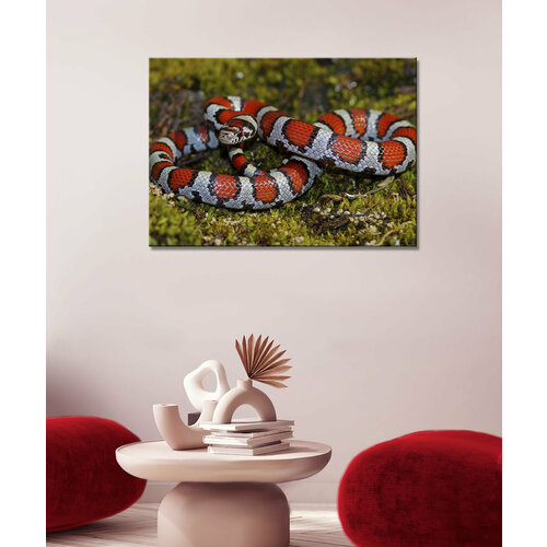 Картина - змея, королевская змея, красная змея, белые пятна, змея в траве (33) 50х70