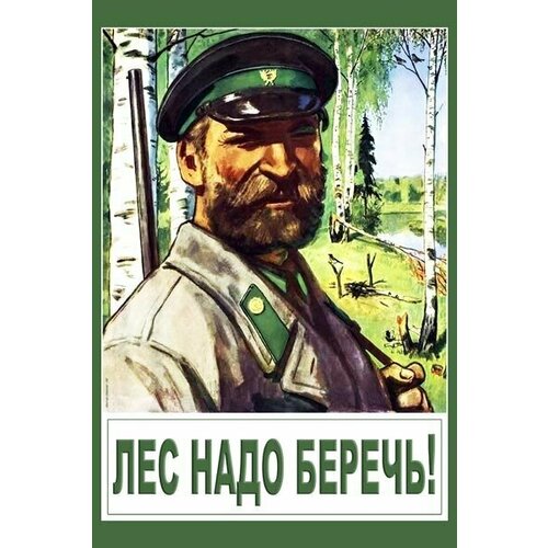 Плакат, постер на бумаге СССР, Лес надо беречь. Размер 21 х 30 см