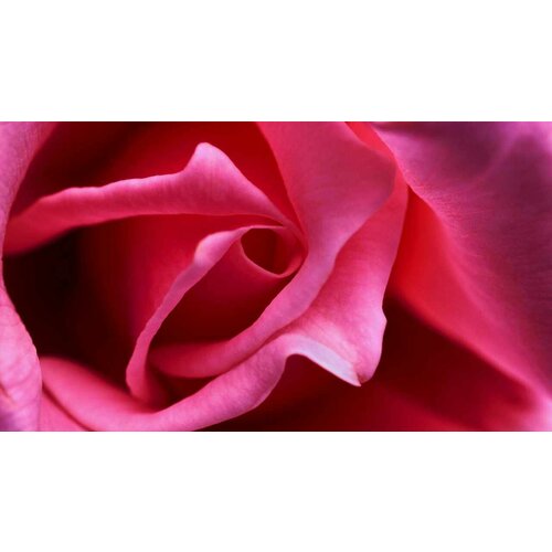 Картина на холсте 60x110 LinxOne "Розовые розы" интерьерная для дома / на стену / на кухню / с подрамником