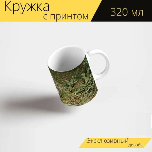 Кружка с рисунком, принтом "Ежик, еж, лето" 320 мл.