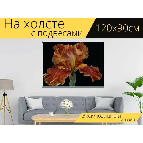 Картина на холсте "Цвести, ботаника, цвет" с подвесами 120х90 см. для интерьера