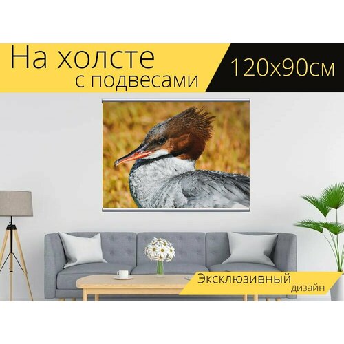 Картина на холсте "Крохаль, mergus merganser, утиная птица" с подвесами 120х90 см. для интерьера